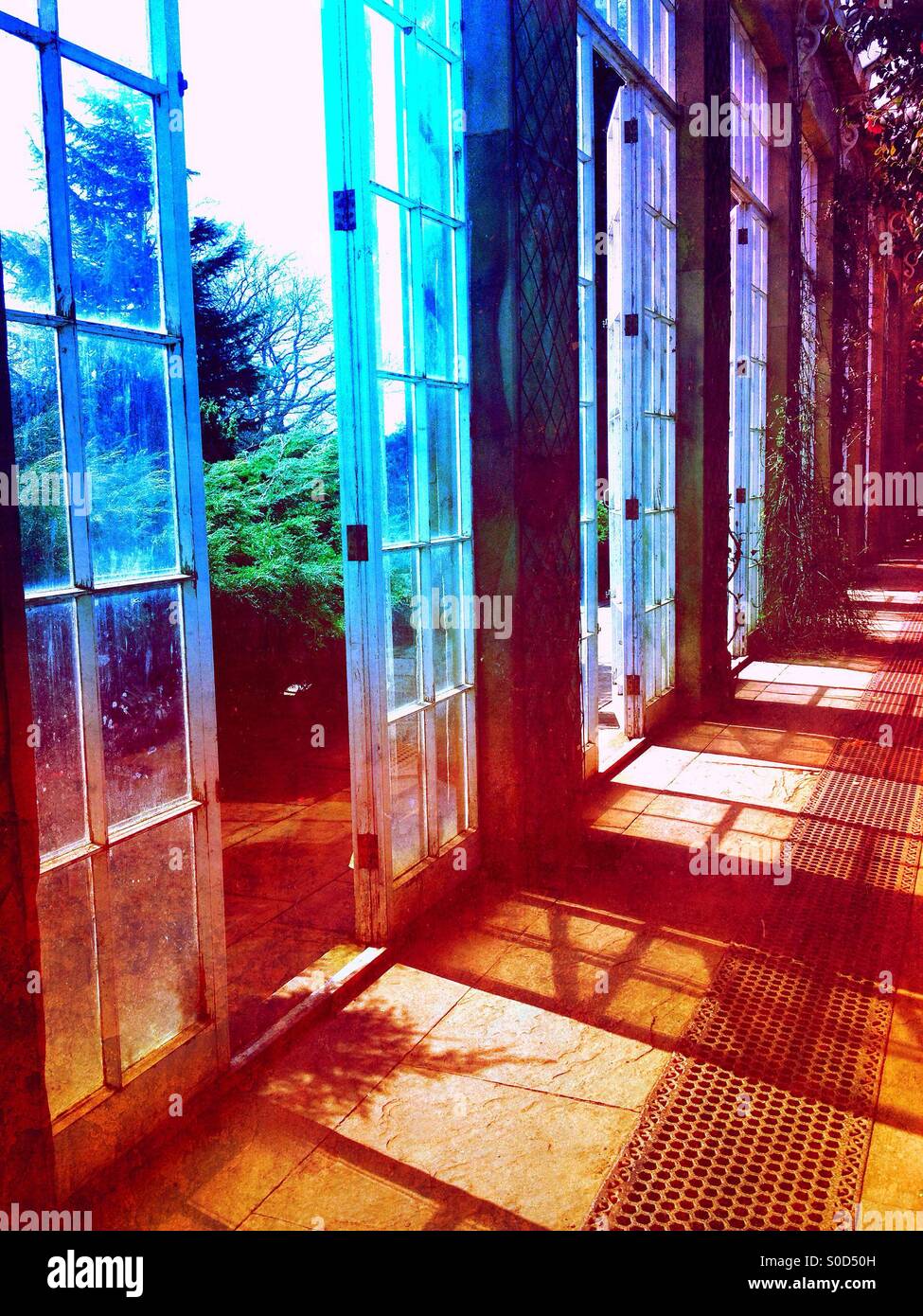 Long windows in a greenhouse Stock Photo - Alamy