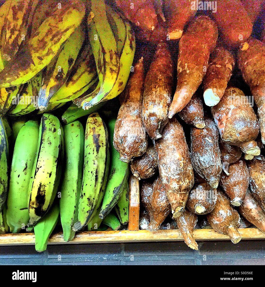 Tropical vegetables hi-res stock photography and images - Alamy