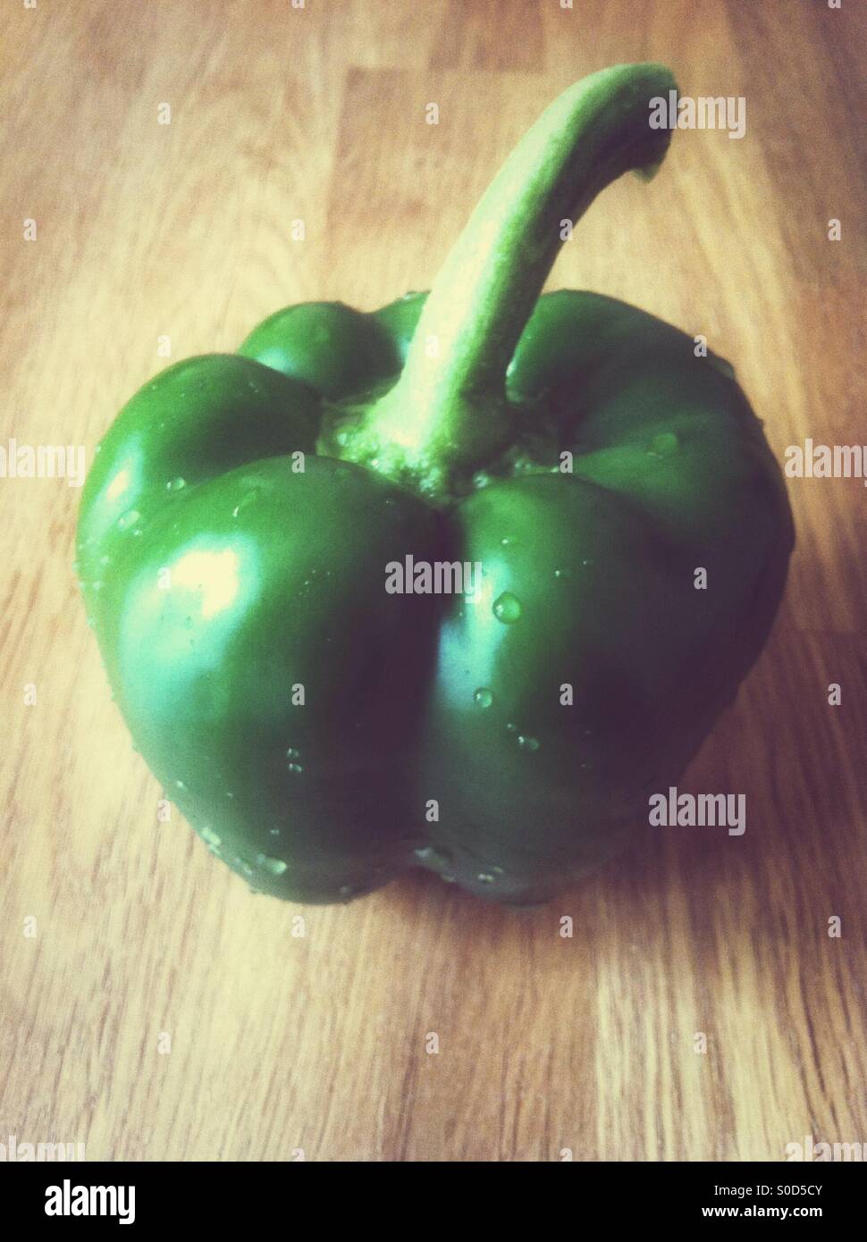 Green capsicum pepper Stock Photo - Alamy