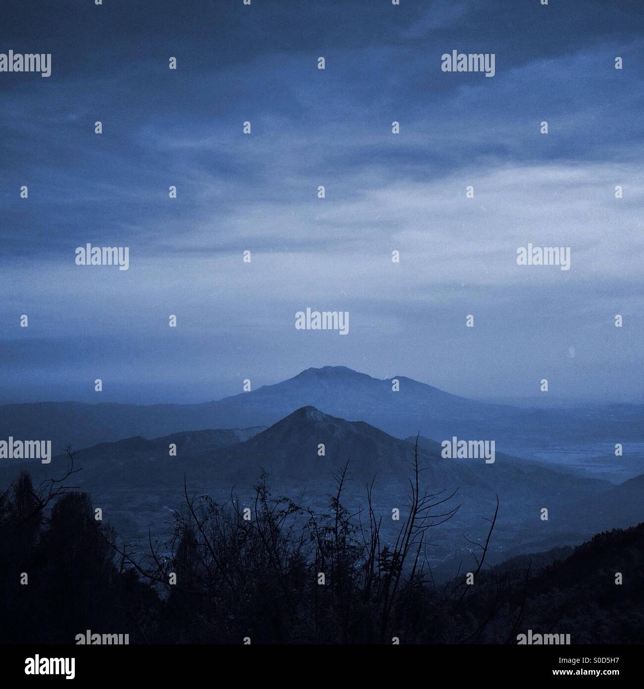 In this morning Stock Photo - Alamy