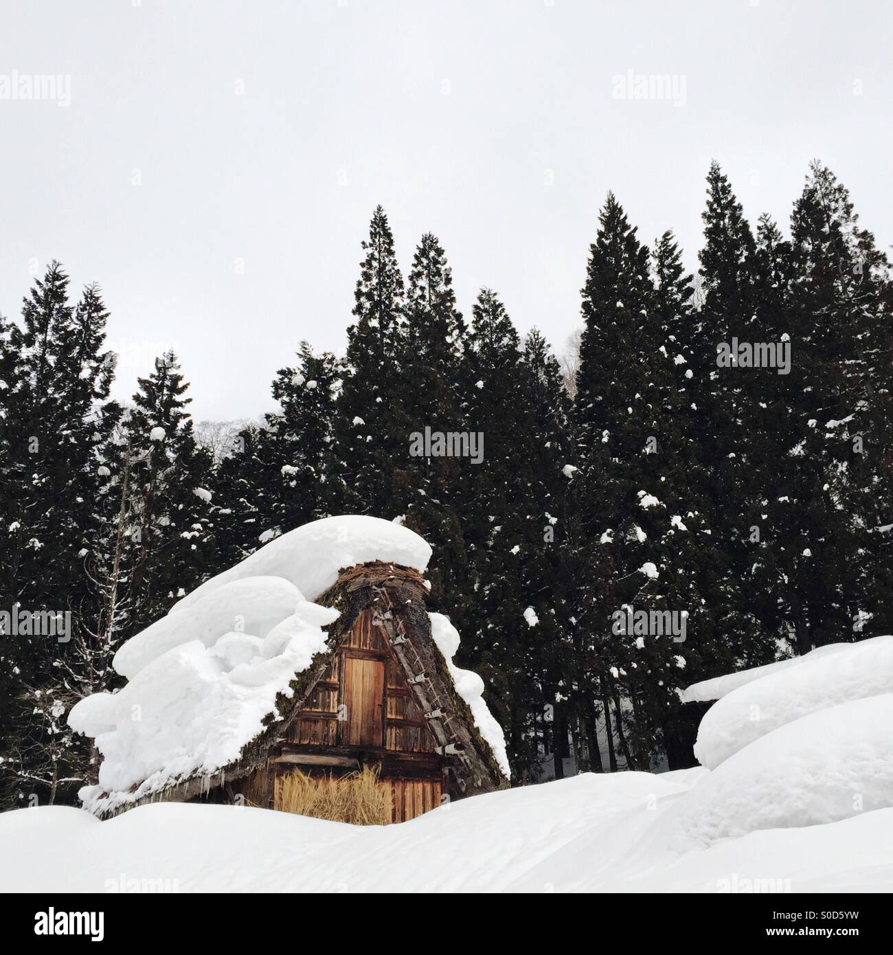 Traditional gassho-zukuri house blanketed in snow. Taken in Shirakawa ...