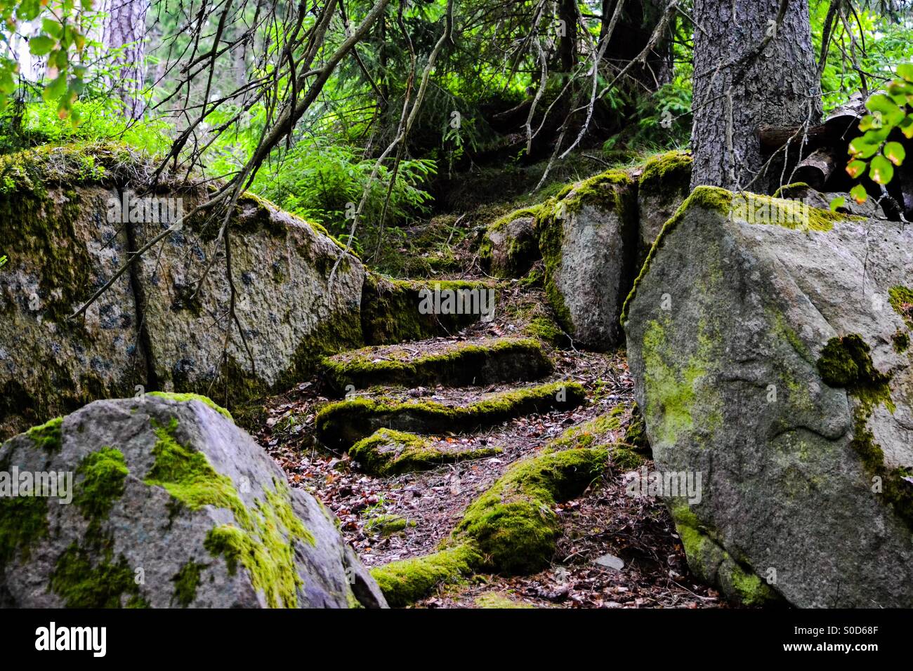 Old ston steps Stock Photo - Alamy
