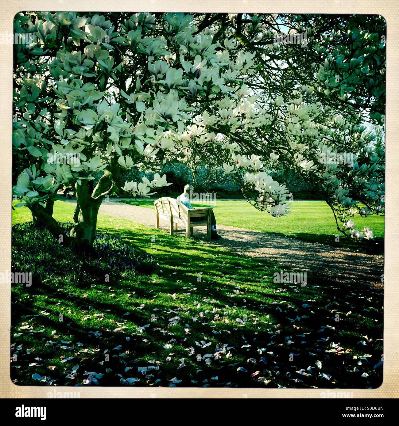 Relaxing under the tree hi-res stock photography and images - Alamy