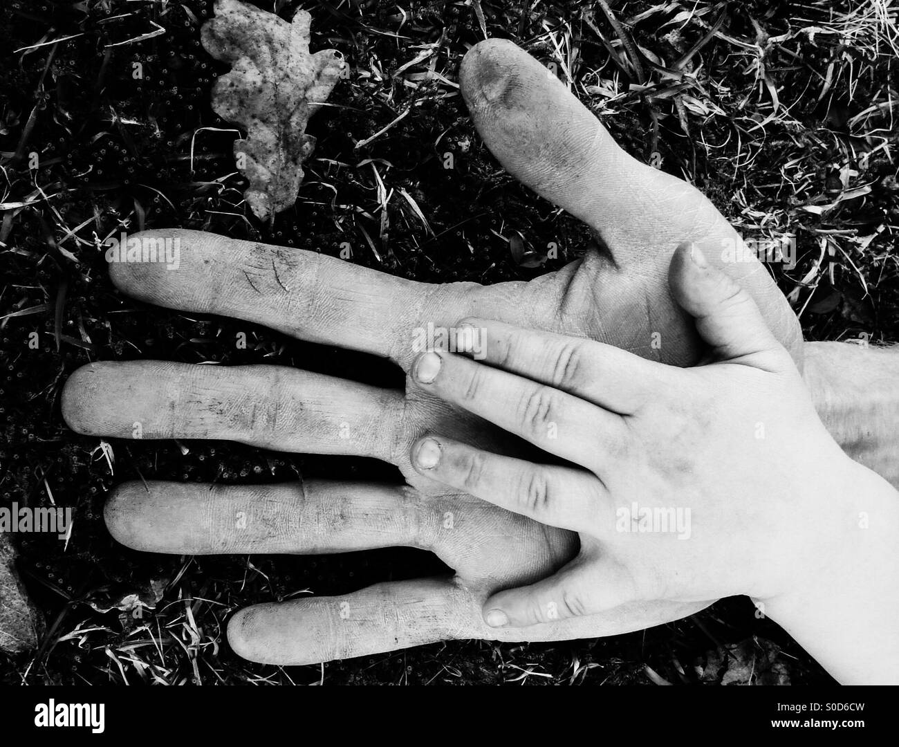 Big and small contrast Black and White Stock Photos & Images - Alamy