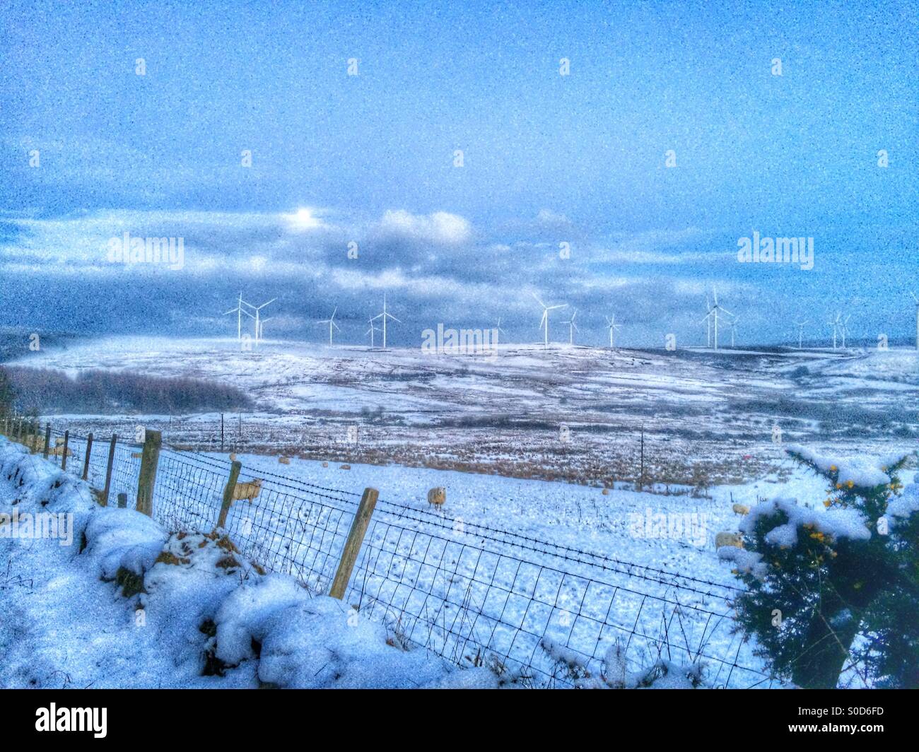 Wind fence hi-res stock photography and images - Alamy
