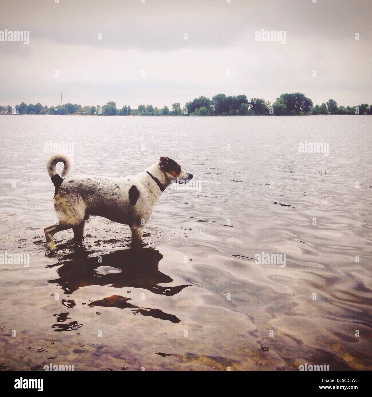 River cute hi-res stock photography and images - Alamy