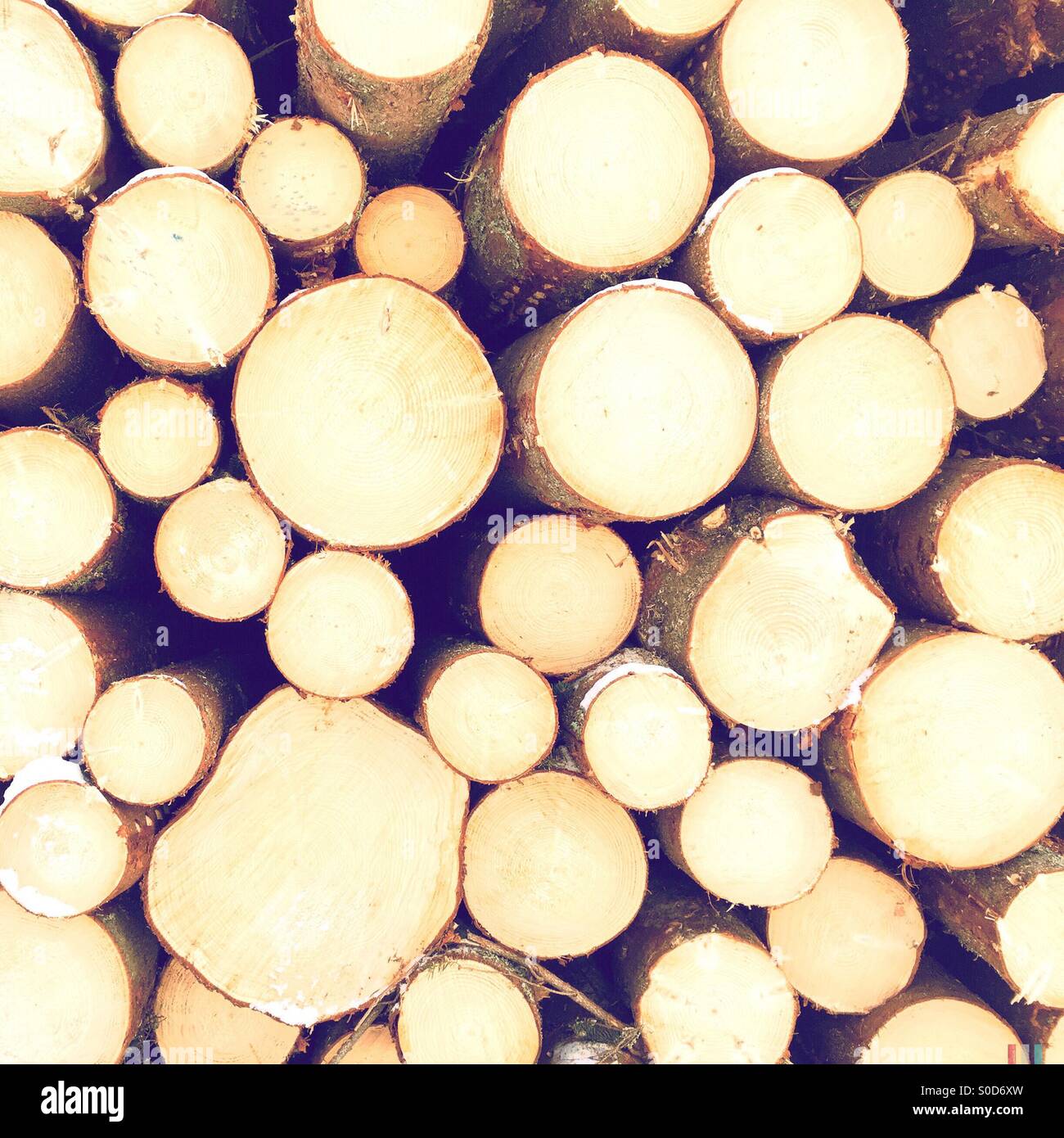 Logging log pile stack hi-res stock photography and images - Alamy