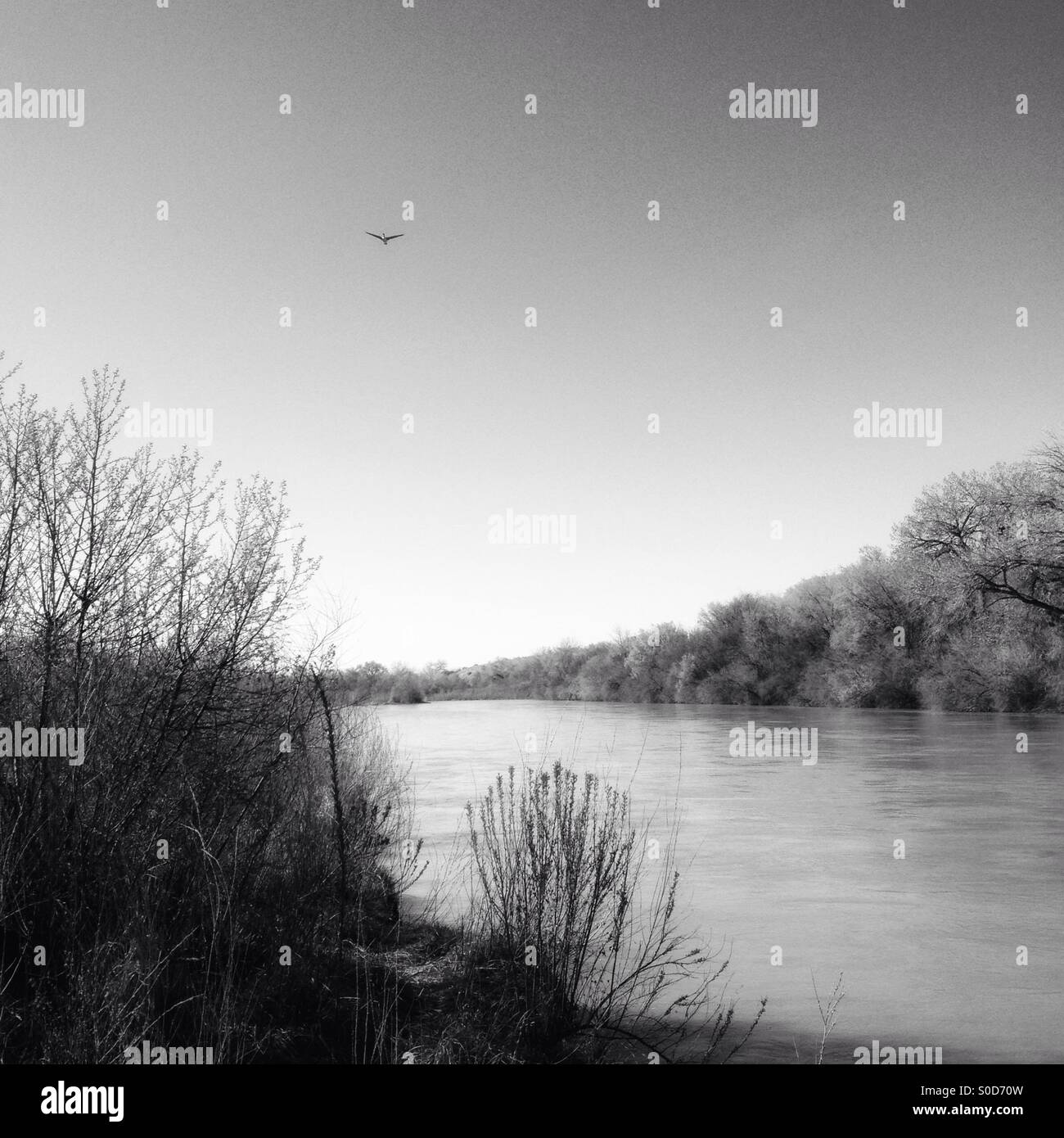 Rio Grande River in Albuquerque New Mexico Stock Photo - Alamy