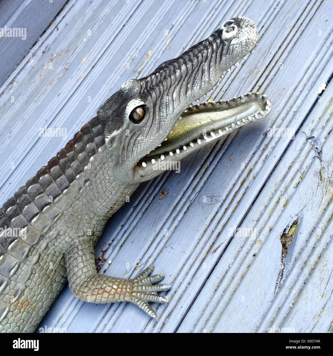 Plastic crocodile hi-res stock photography and images - Alamy
