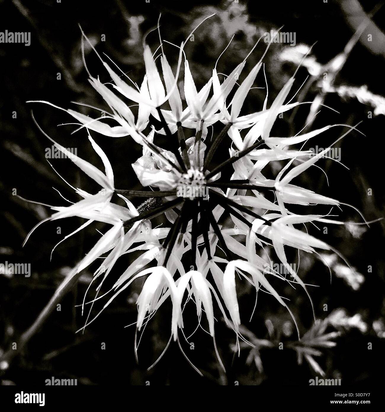 Finishing life hi-res stock photography and images - Alamy