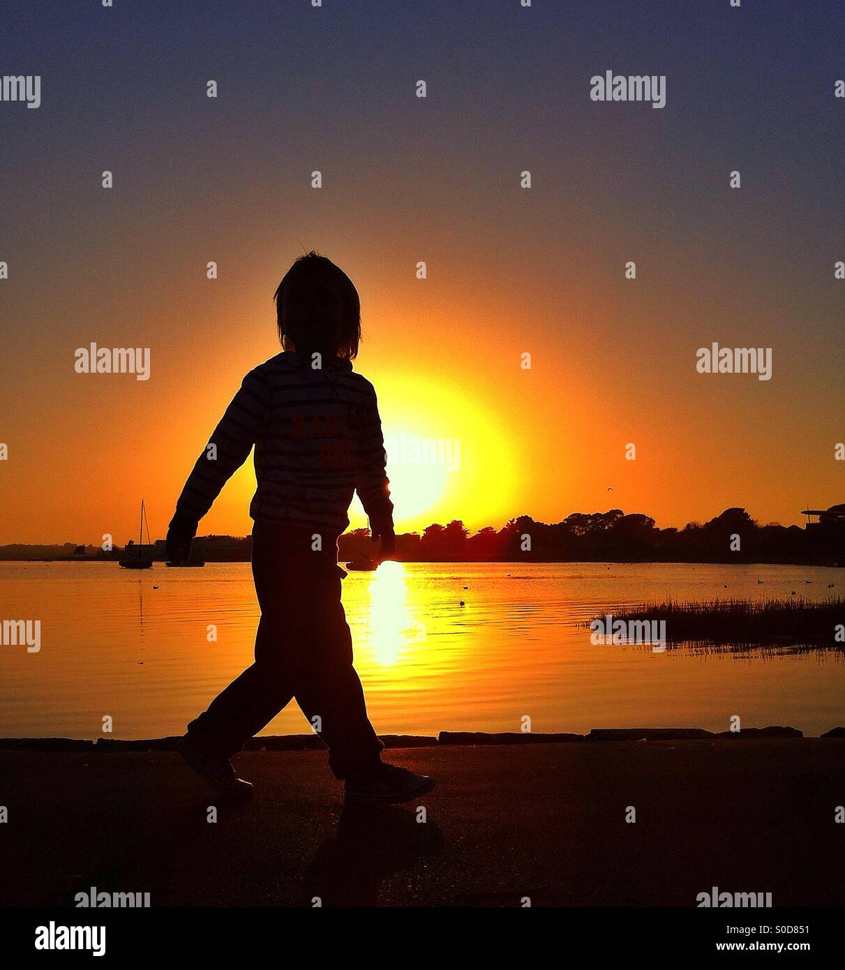 It,s my sunset Stock Photo - Alamy