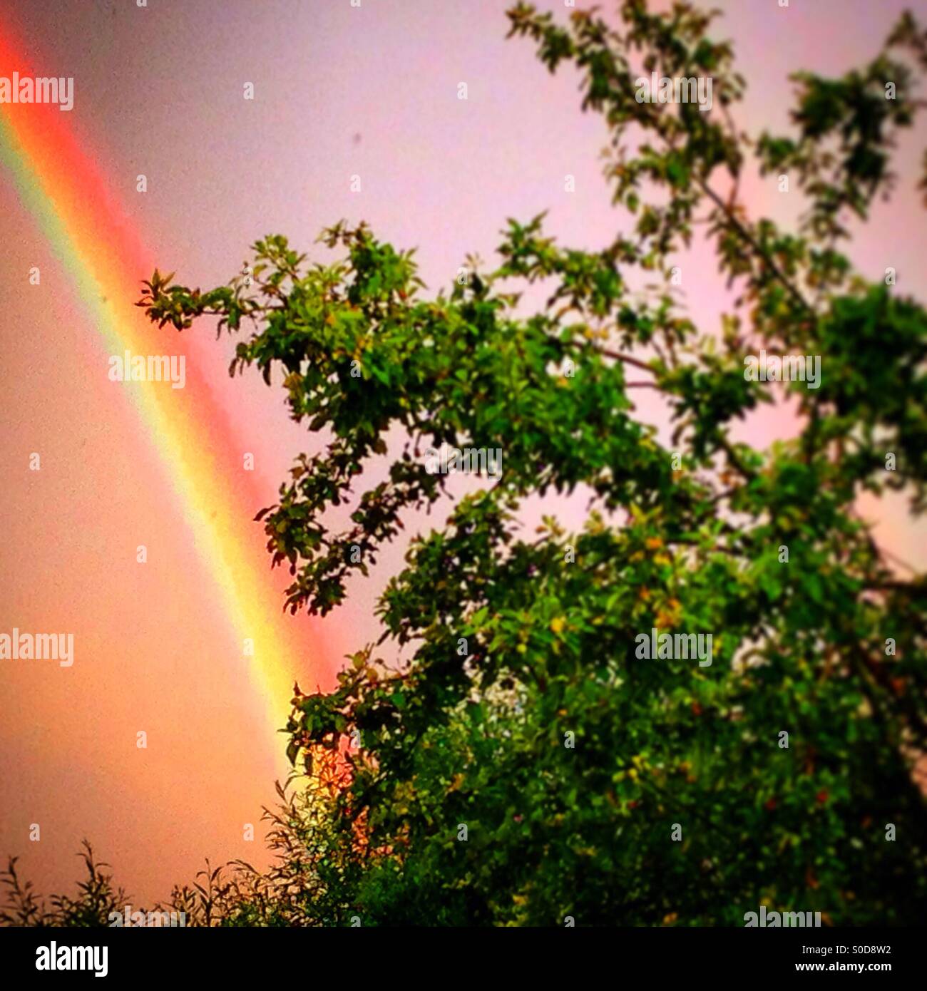 Green rainbow hi-res stock photography and images - Alamy