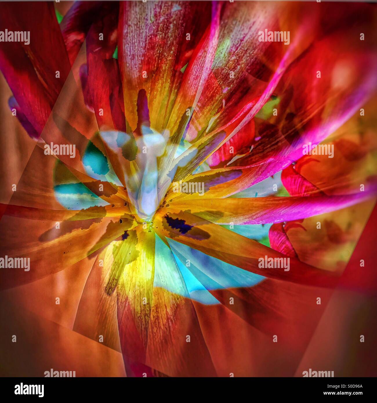 Explosion colour hi-res stock photography and images - Alamy