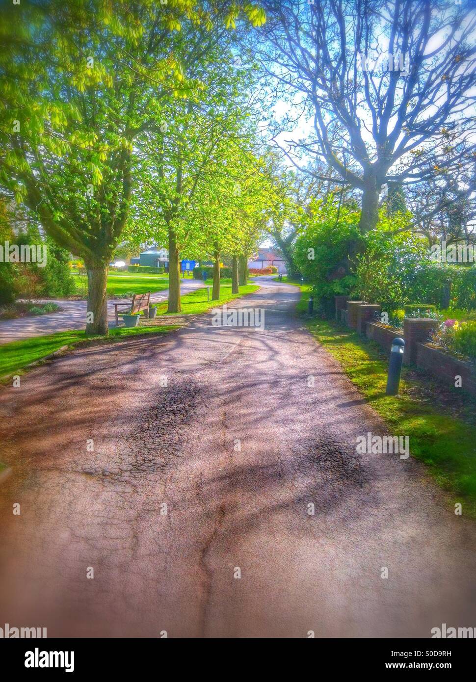 Rough path hi-res stock photography and images - Alamy