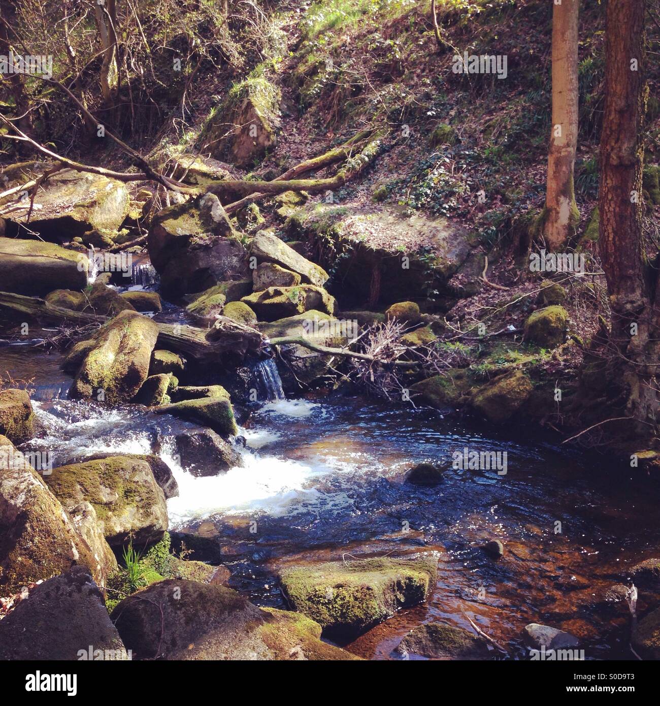 'waterfall Country' High Resolution Stock Photography and Images - Alamy