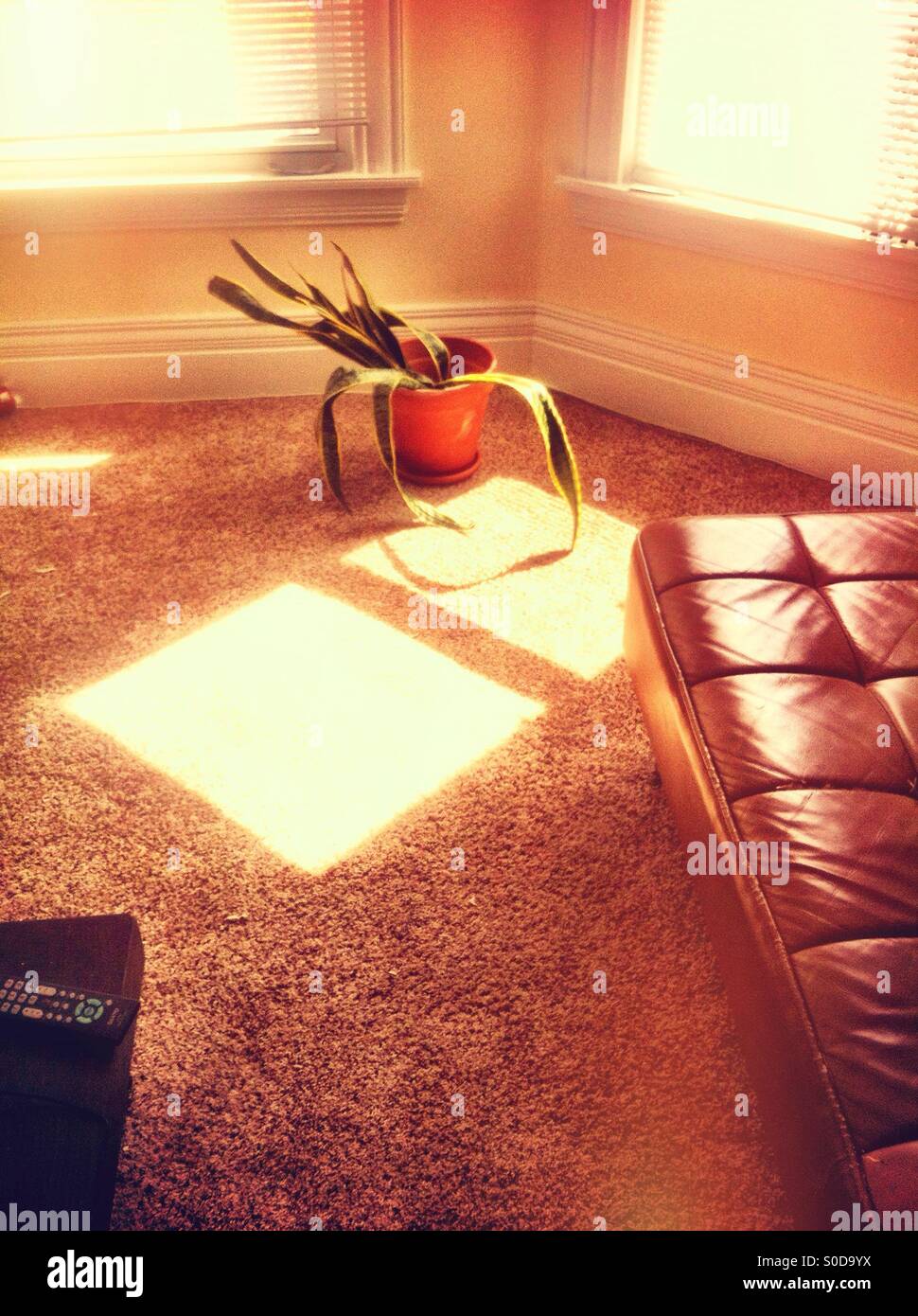 Sunlight inside home hi-res stock photography and images - Alamy