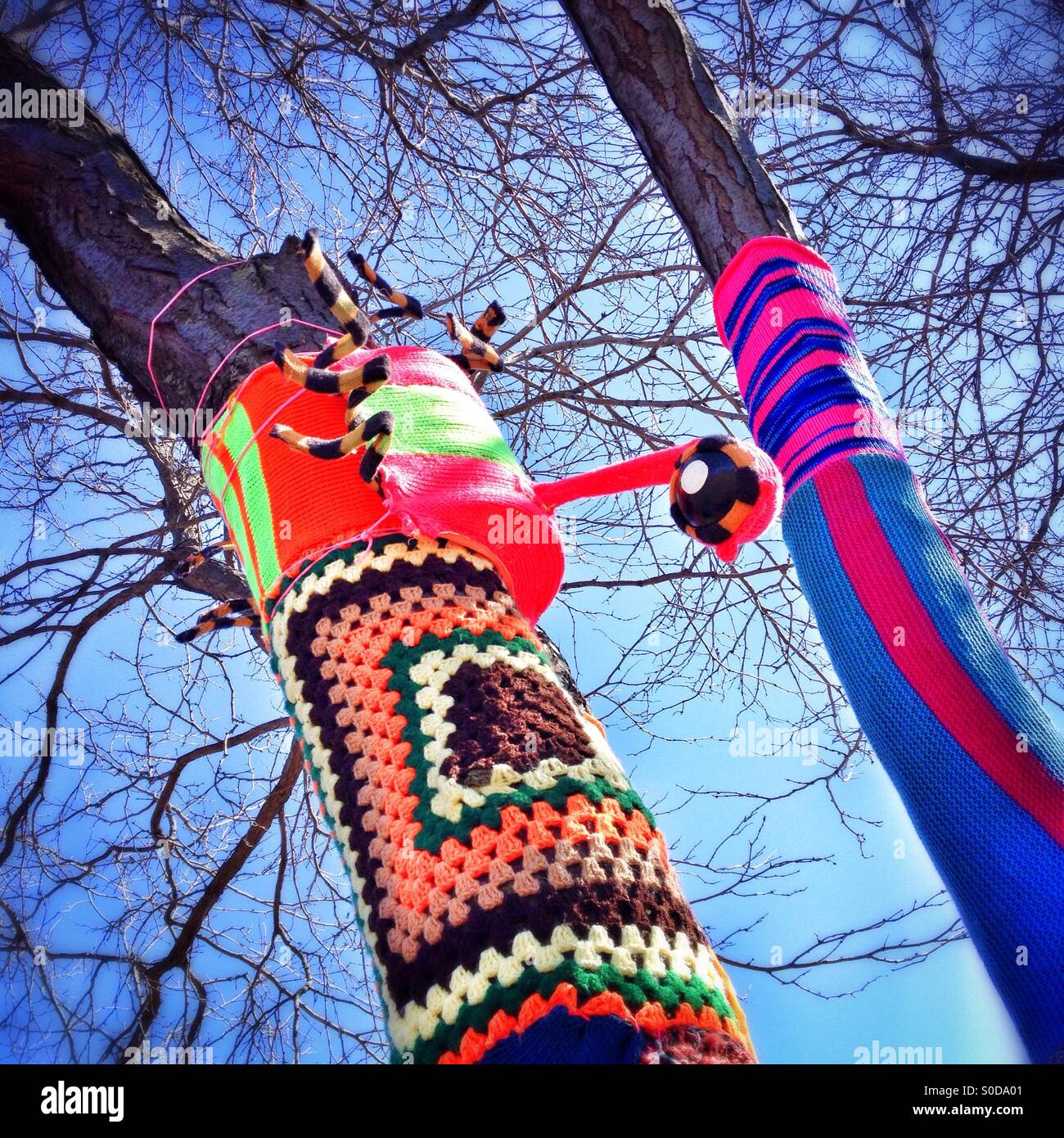 Hippie tree trunks Stock Photo - Alamy