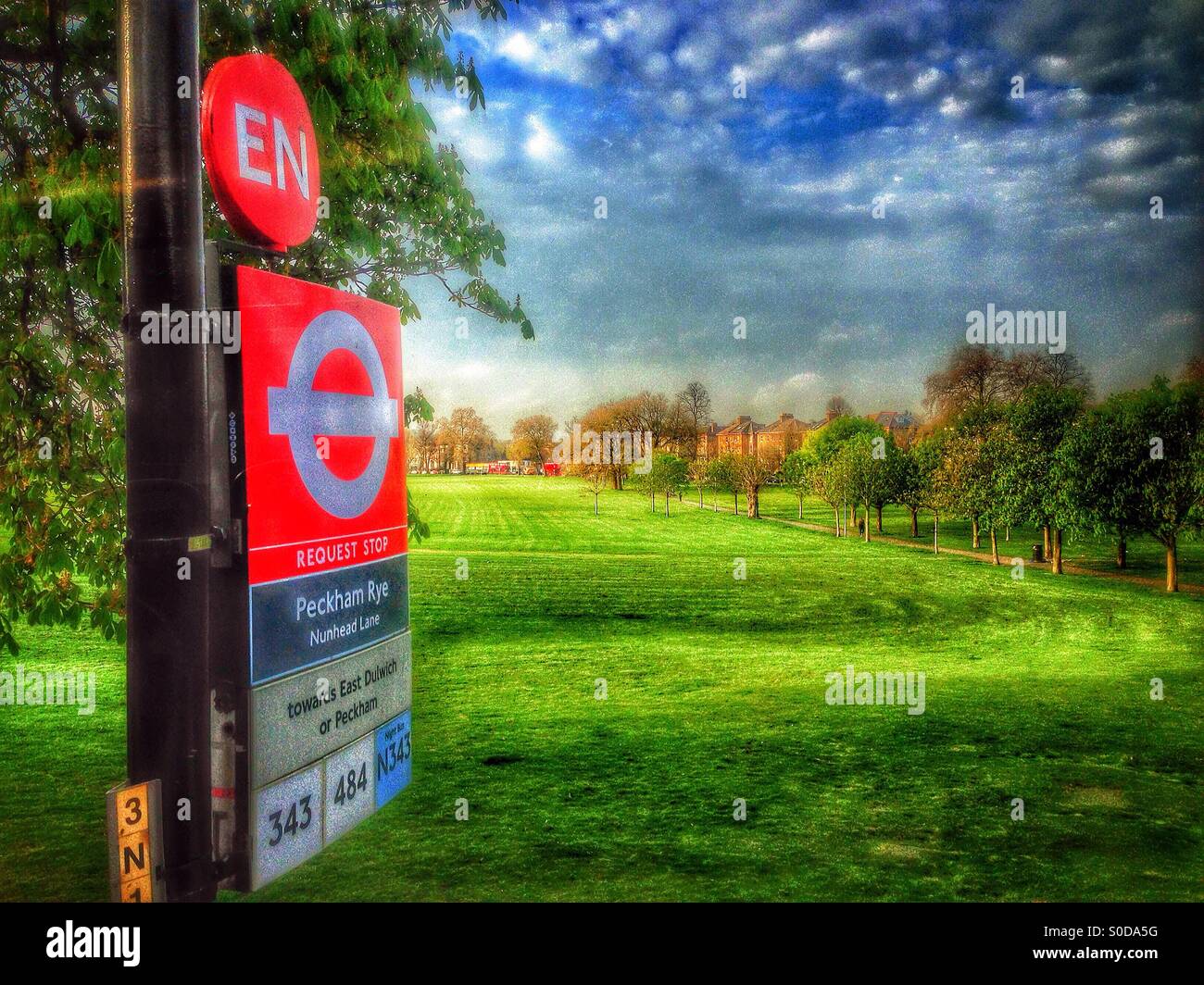Peckham Rye bus stop Stock Photo - Alamy