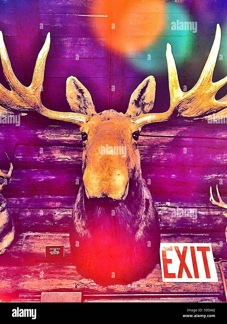 The hunting lodge smartphone stock photos and images - Alamy