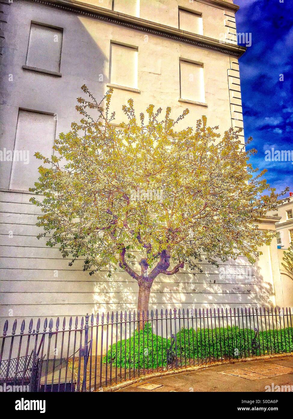 Spring time in London Stock Photo - Alamy