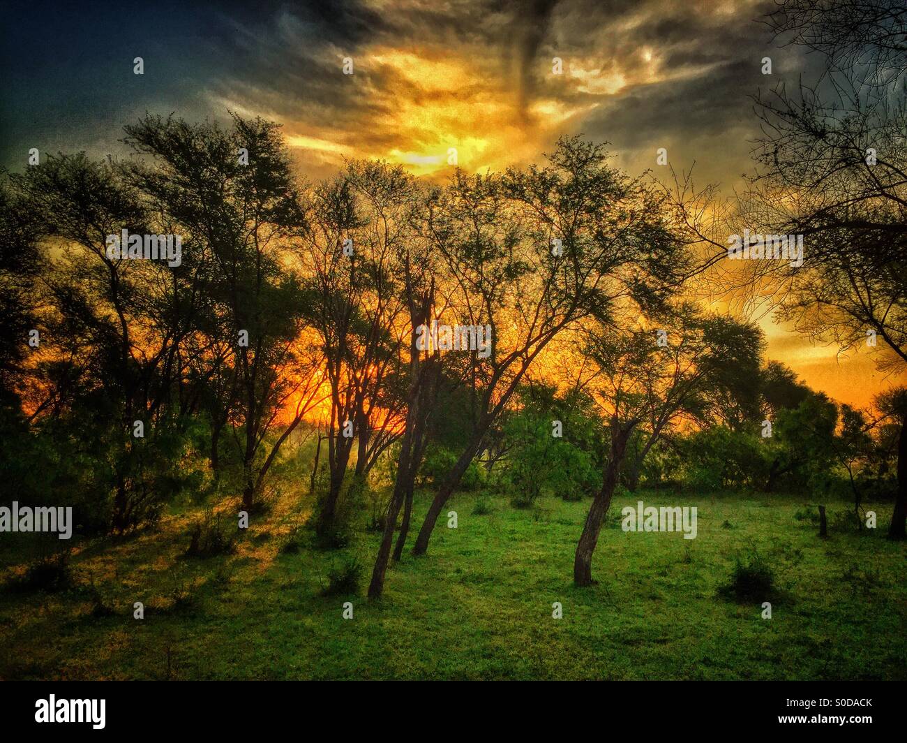 Kharian hi-res stock photography and images - Alamy