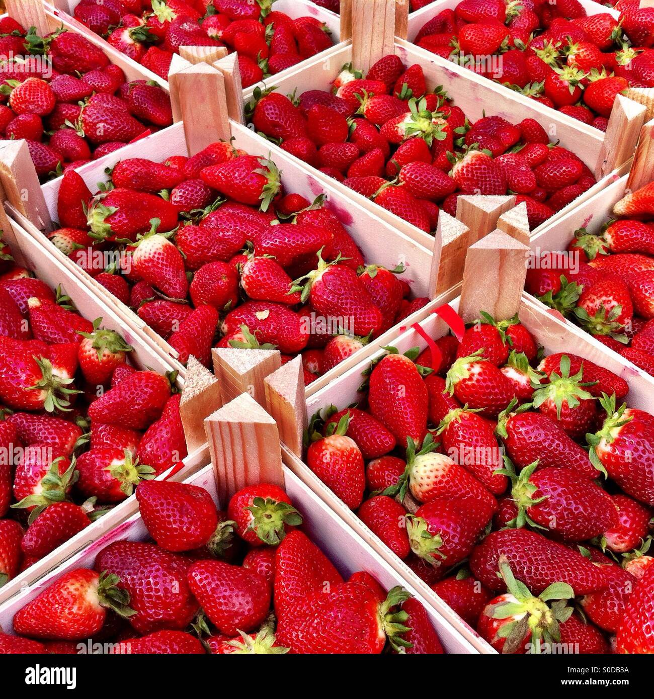 Punnets of fresh strawberries for sale at a Spanish fruit and vegetable ...