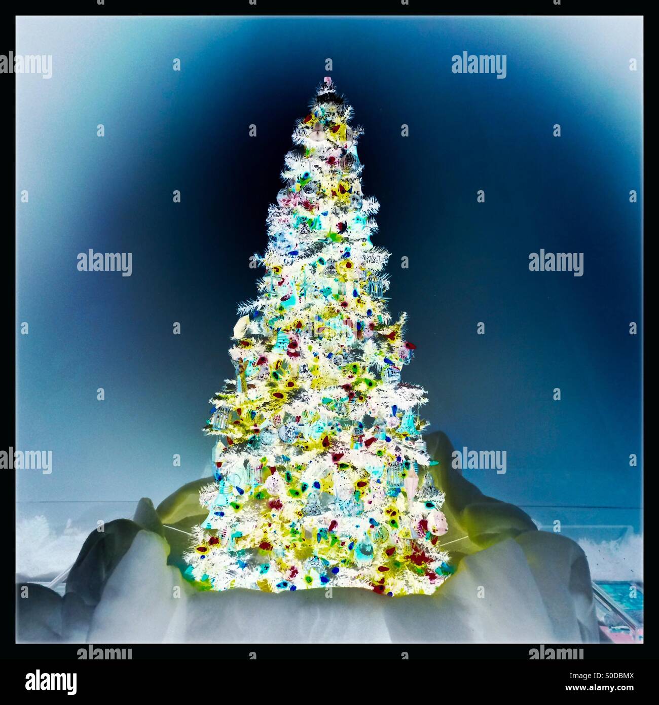 Inverted tree hi-res stock photography and images - Alamy