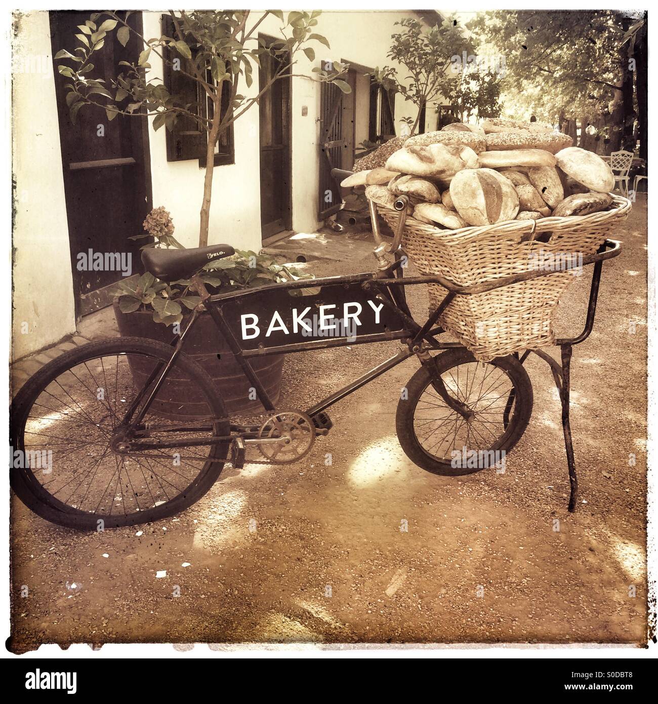 Bicycle basket bread hi-res stock photography and images - Alamy