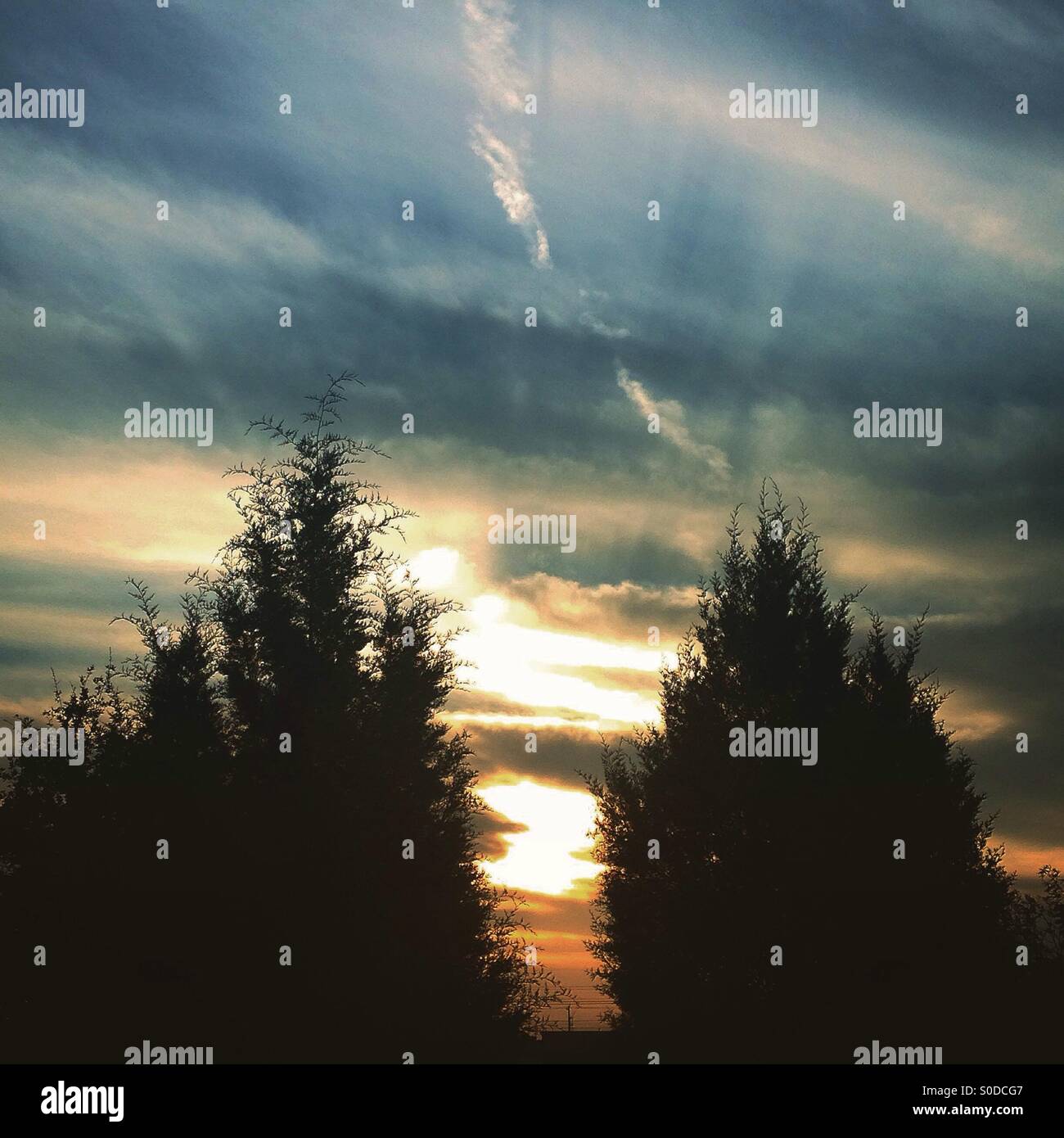 Fire sunrise between the trees Stock Photo - Alamy