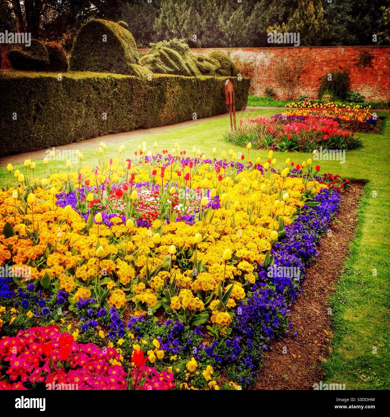 Colourful Spring flower beds shot via Hipstamatic; the Walled Garden at ...