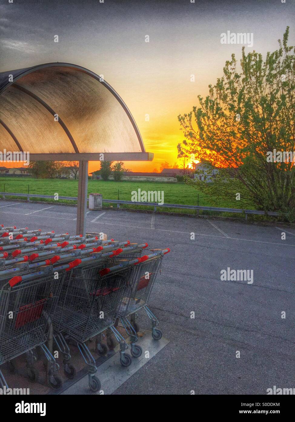 The golden hour and the trolleys Stock Photo - Alamy