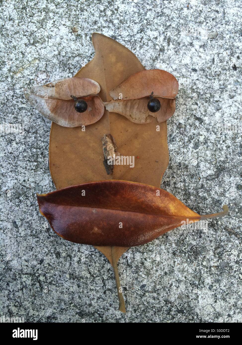 Face made of leaves hi-res stock photography and images - Alamy