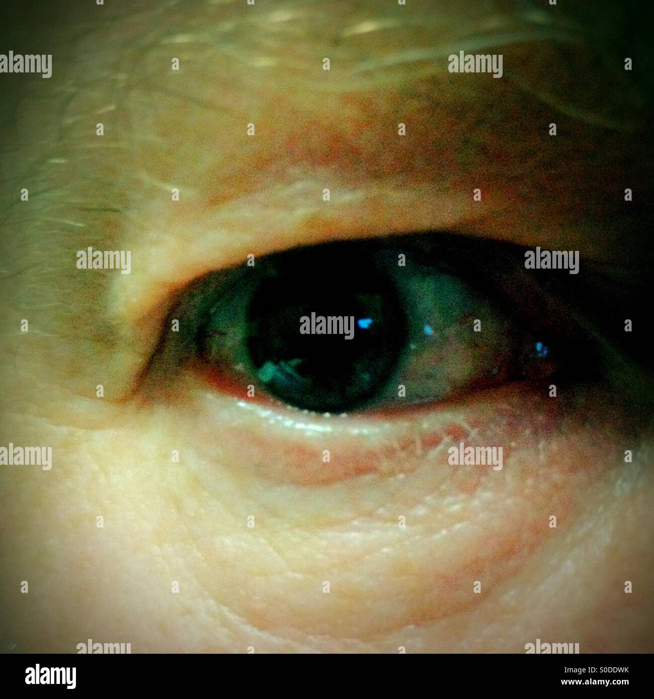 Staring eye hi-res stock photography and images - Alamy