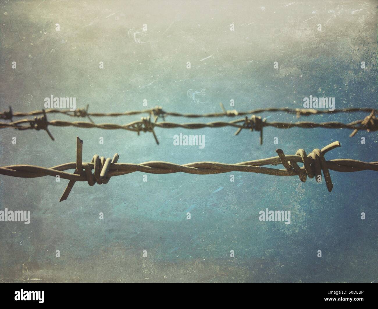 Spike wire hi-res stock photography and images - Alamy