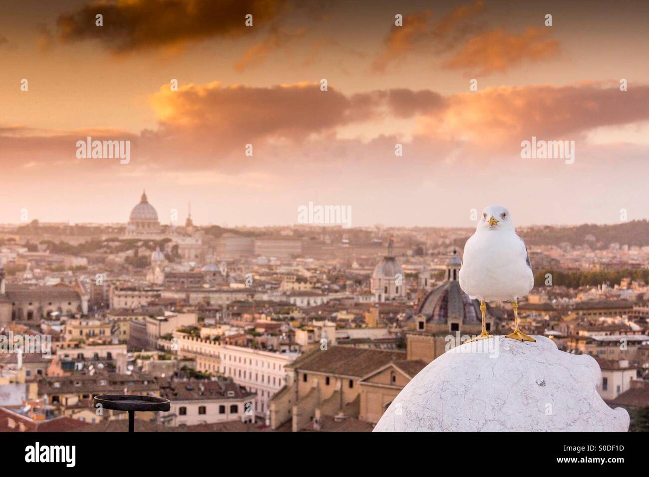 Sunset of rome hi-res stock photography and images - Alamy