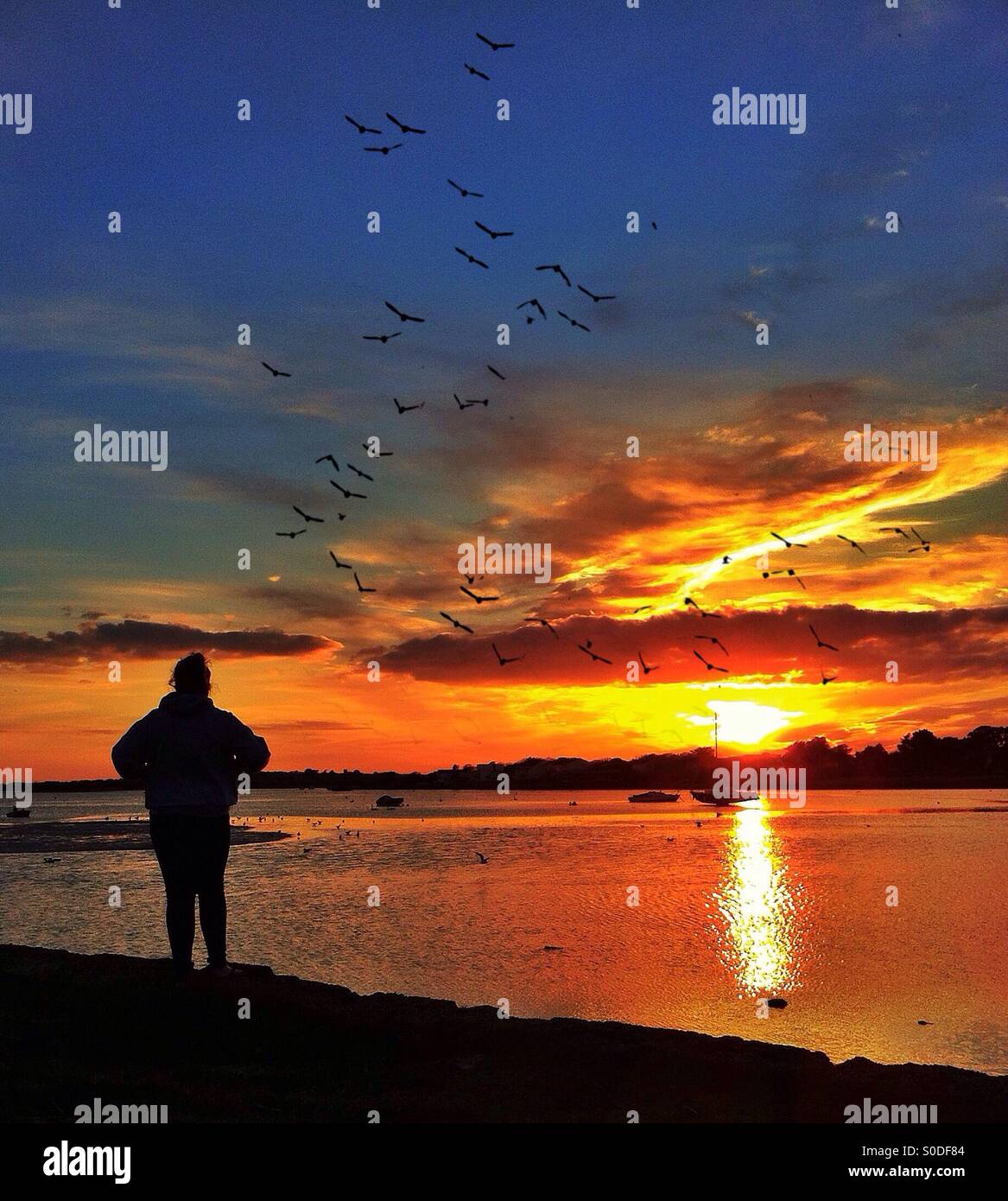 Woman watching the sunset Stock Photo - Alamy