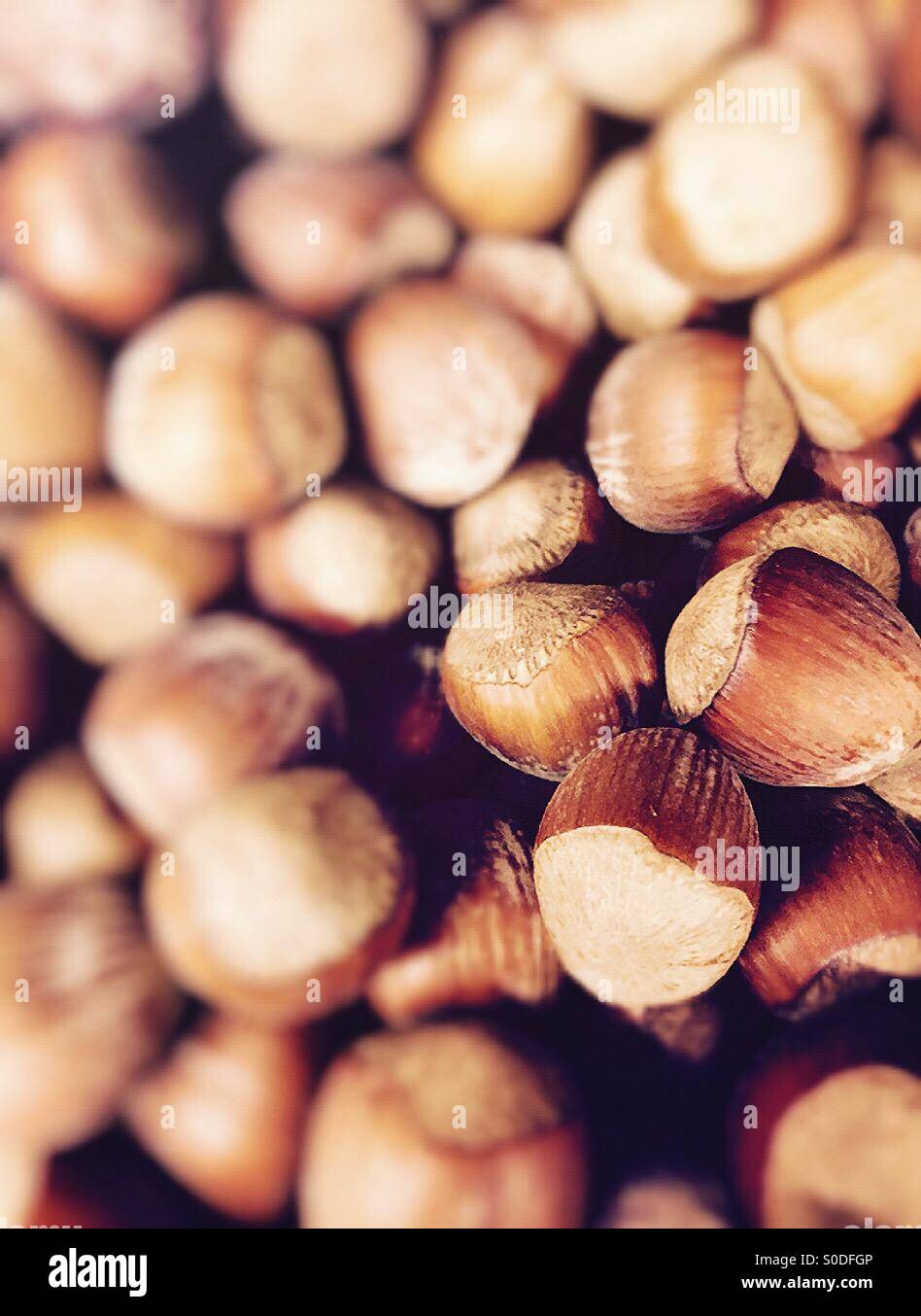 Gilbert nuts hi-res stock photography and images - Alamy