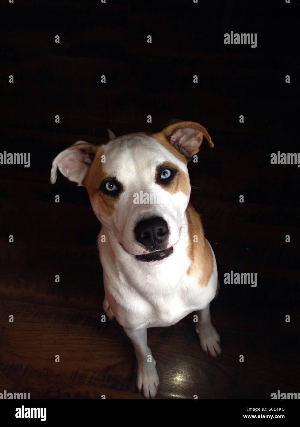 My little man Stock Photo - Alamy