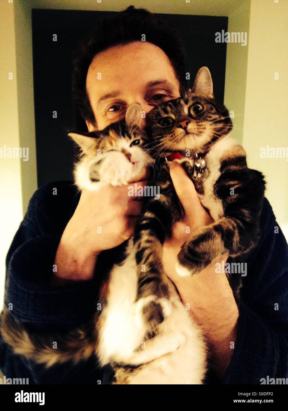 Man With 2 Cats High Resolution Stock Photography and Images - Alamy