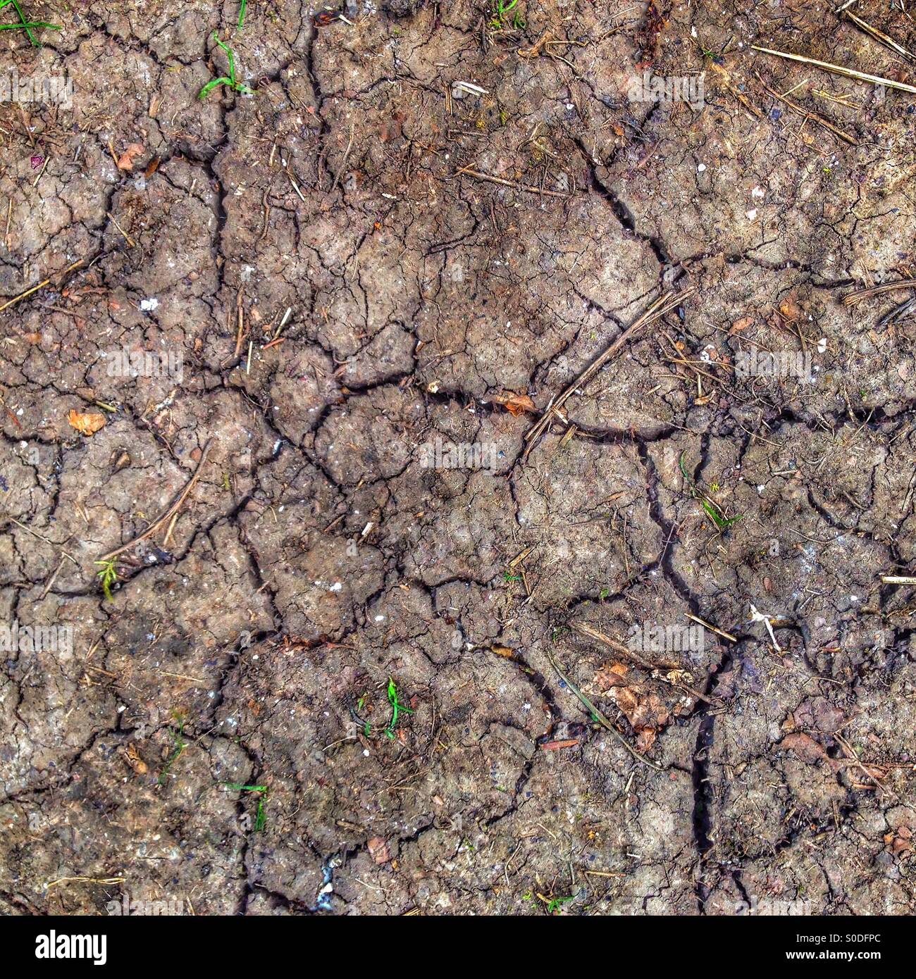 Parched earth hi-res stock photography and images - Alamy