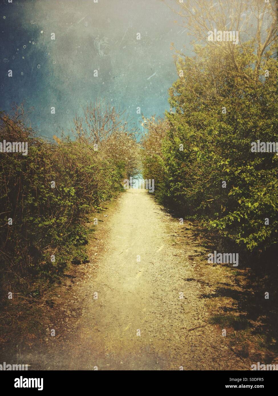 Pathway into the distance Stock Photo - Alamy