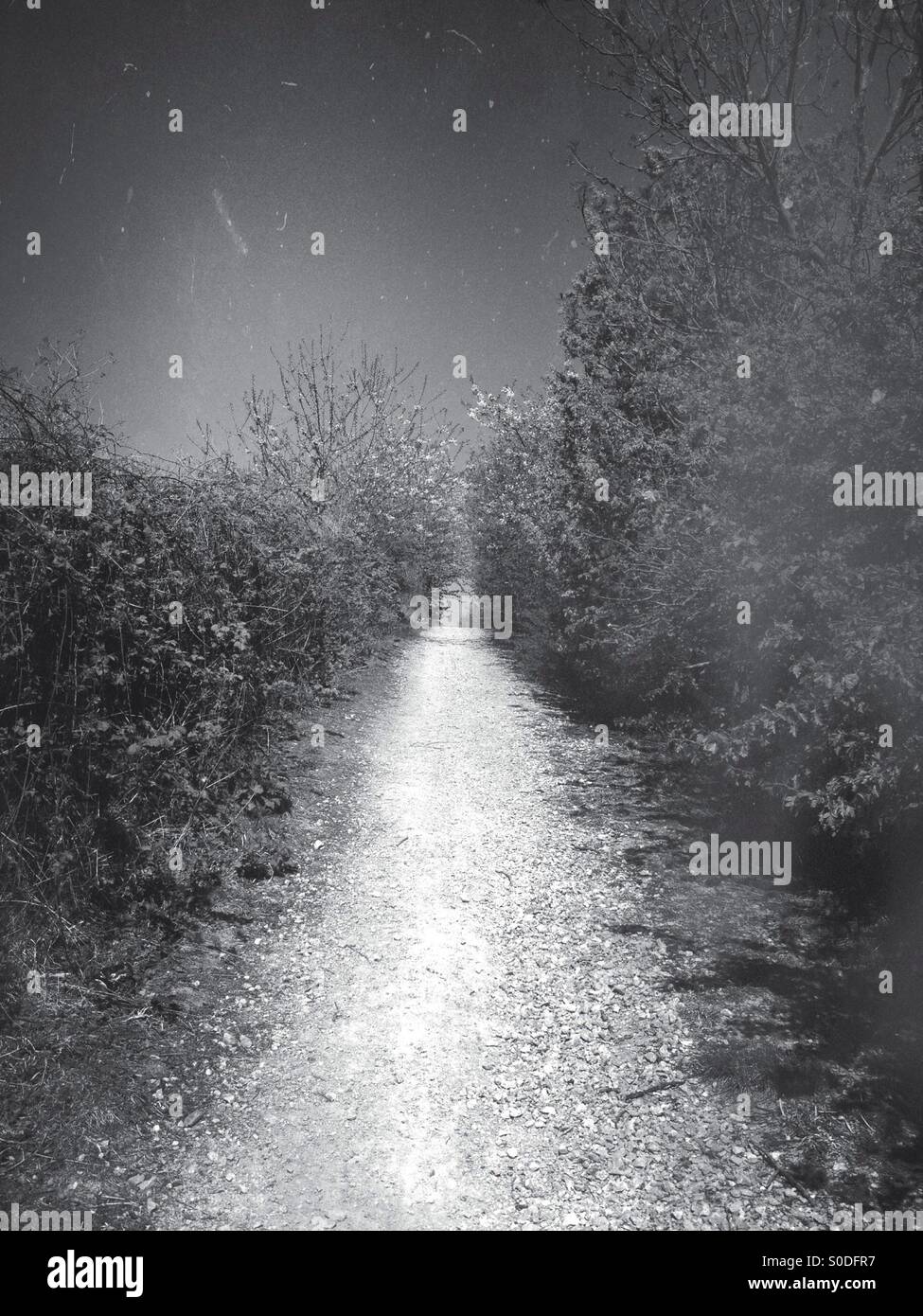 Pathway into the distance Stock Photo - Alamy