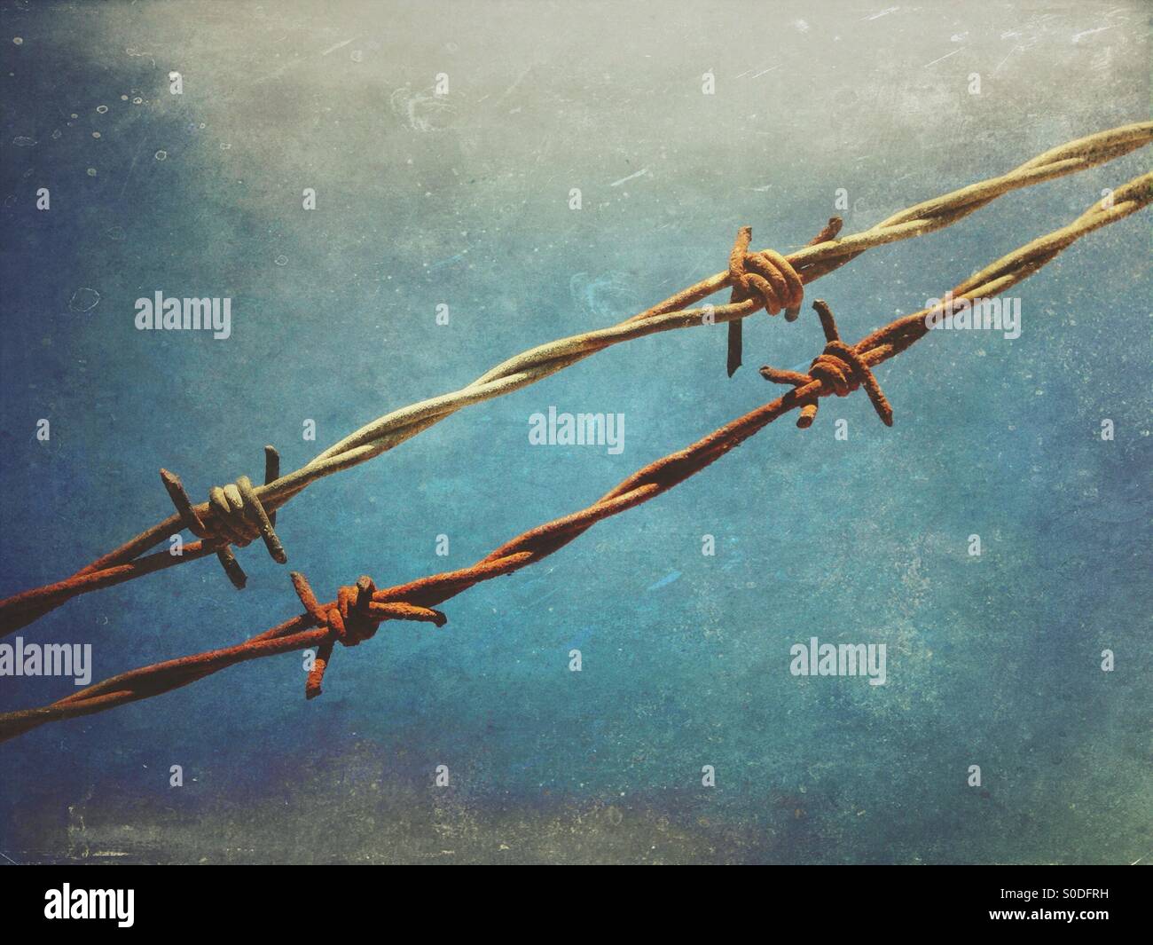 Wire barbs hi-res stock photography and images - Alamy