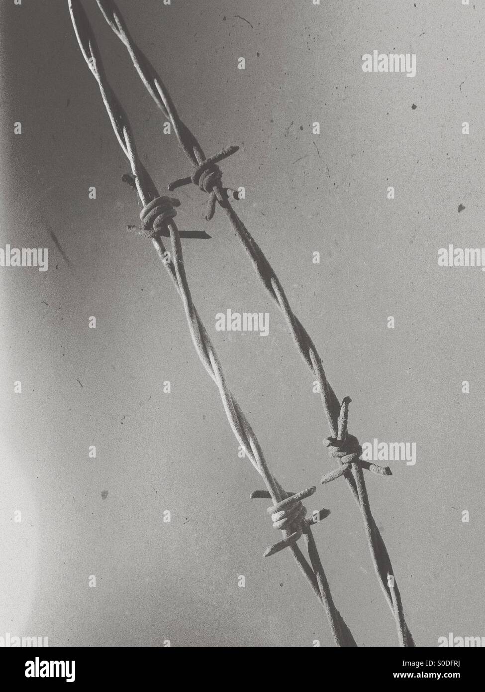 Spiky wire hi-res stock photography and images - Alamy