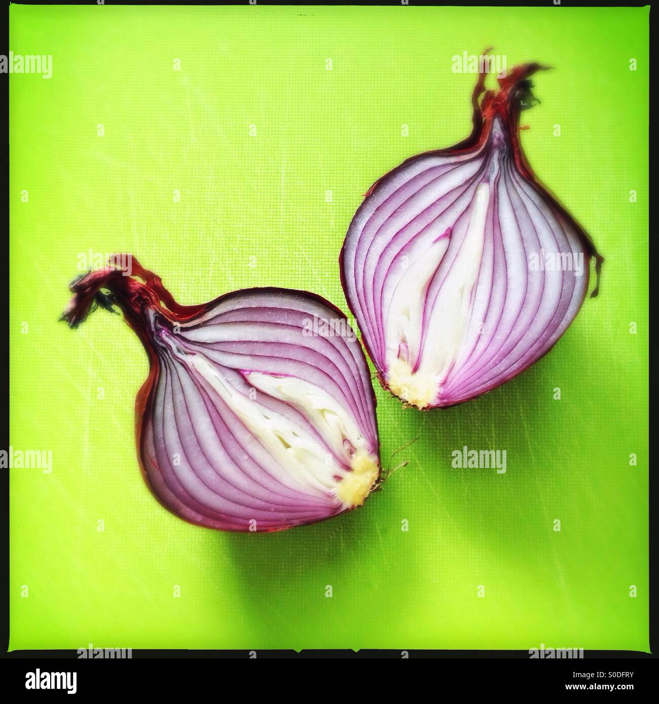 Layers of onion hi-res stock photography and images - Alamy