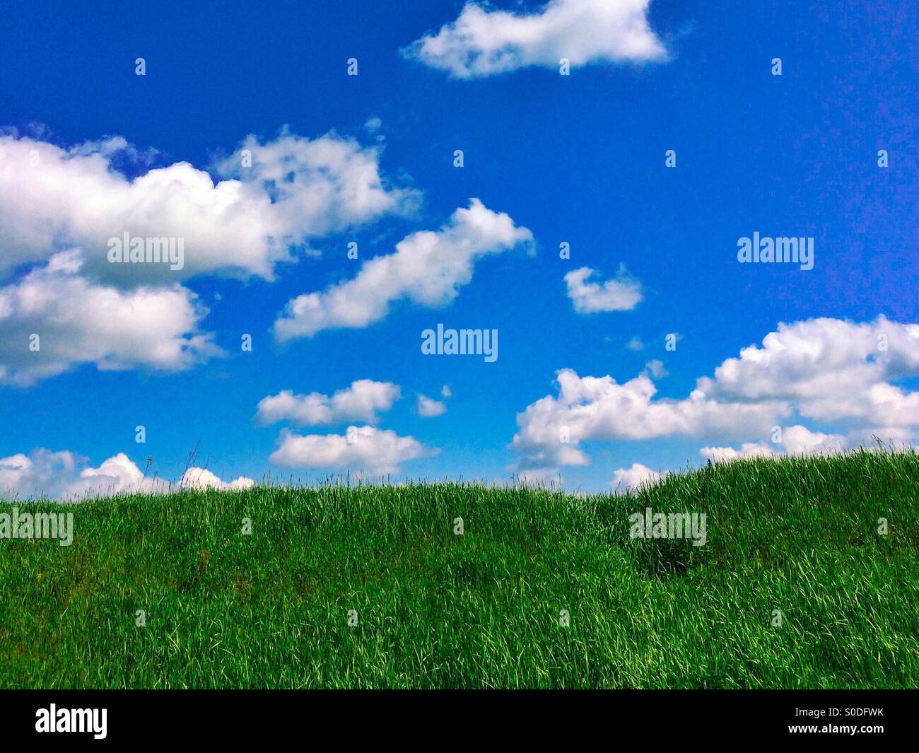 Sky Clouds Sun Grass