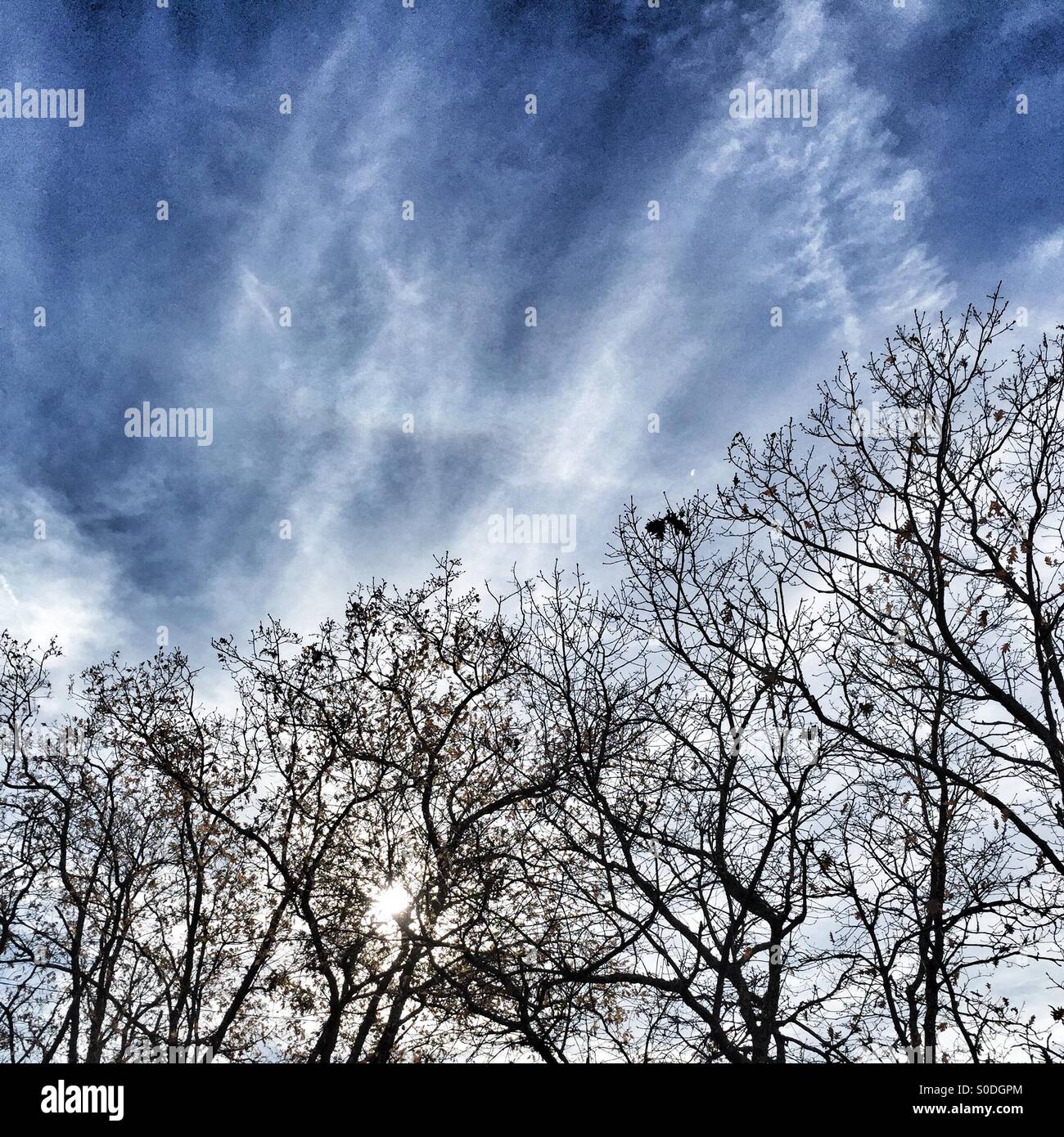 Nature setting hi-res stock photography and images - Alamy