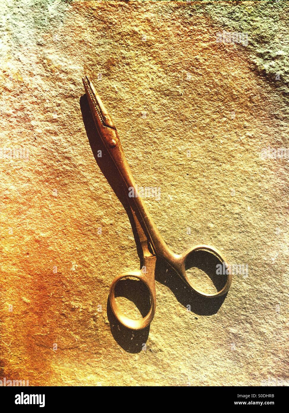 Surgery instrument hi-res stock photography and images - Alamy