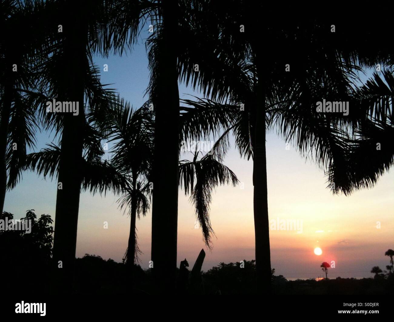Cricket sunset hi-res stock photography and images - Alamy