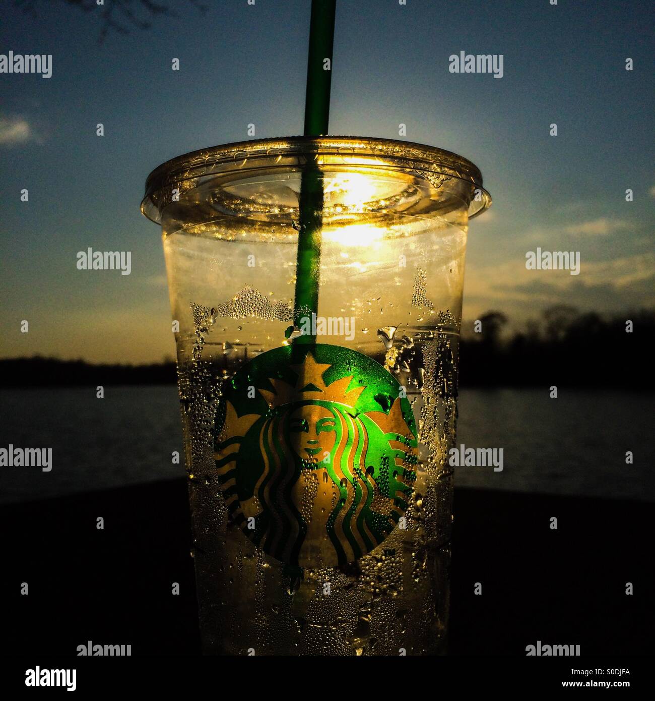 Starbucks ice tea hi-res stock photography and images - Alamy